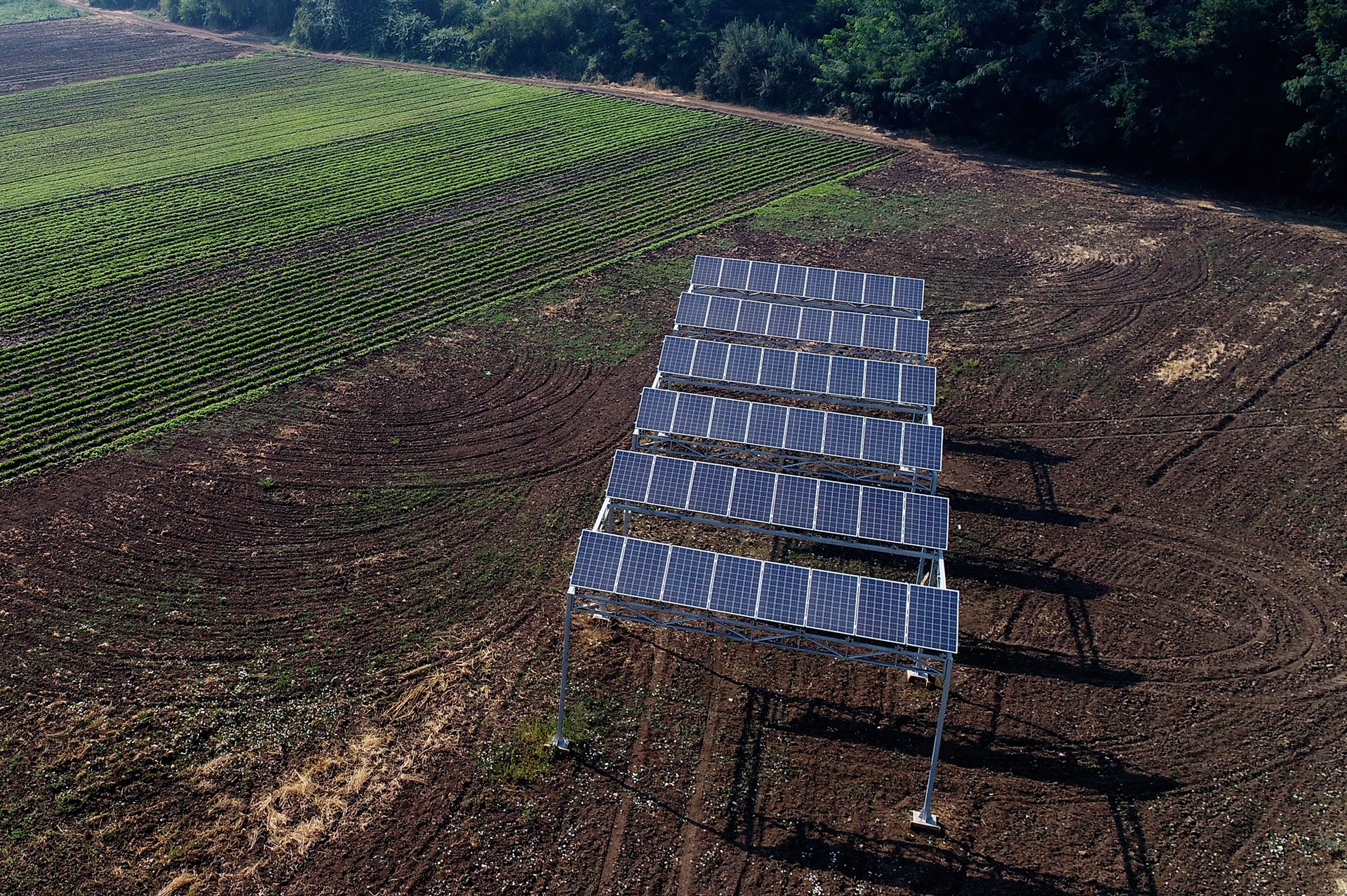 Agrophotovoltaics: Efficient trends from Chile for the world